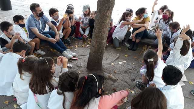 PREGUNTAS EN TORNO AL ARBOL PREGUNTAS EN TORNO AL ARBOL